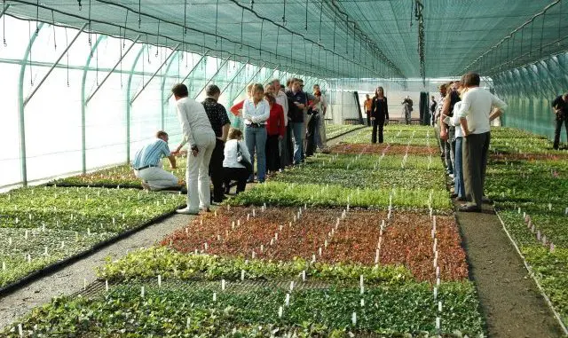 Proyectos ecológicos concretados en la actualidad - Biodisol